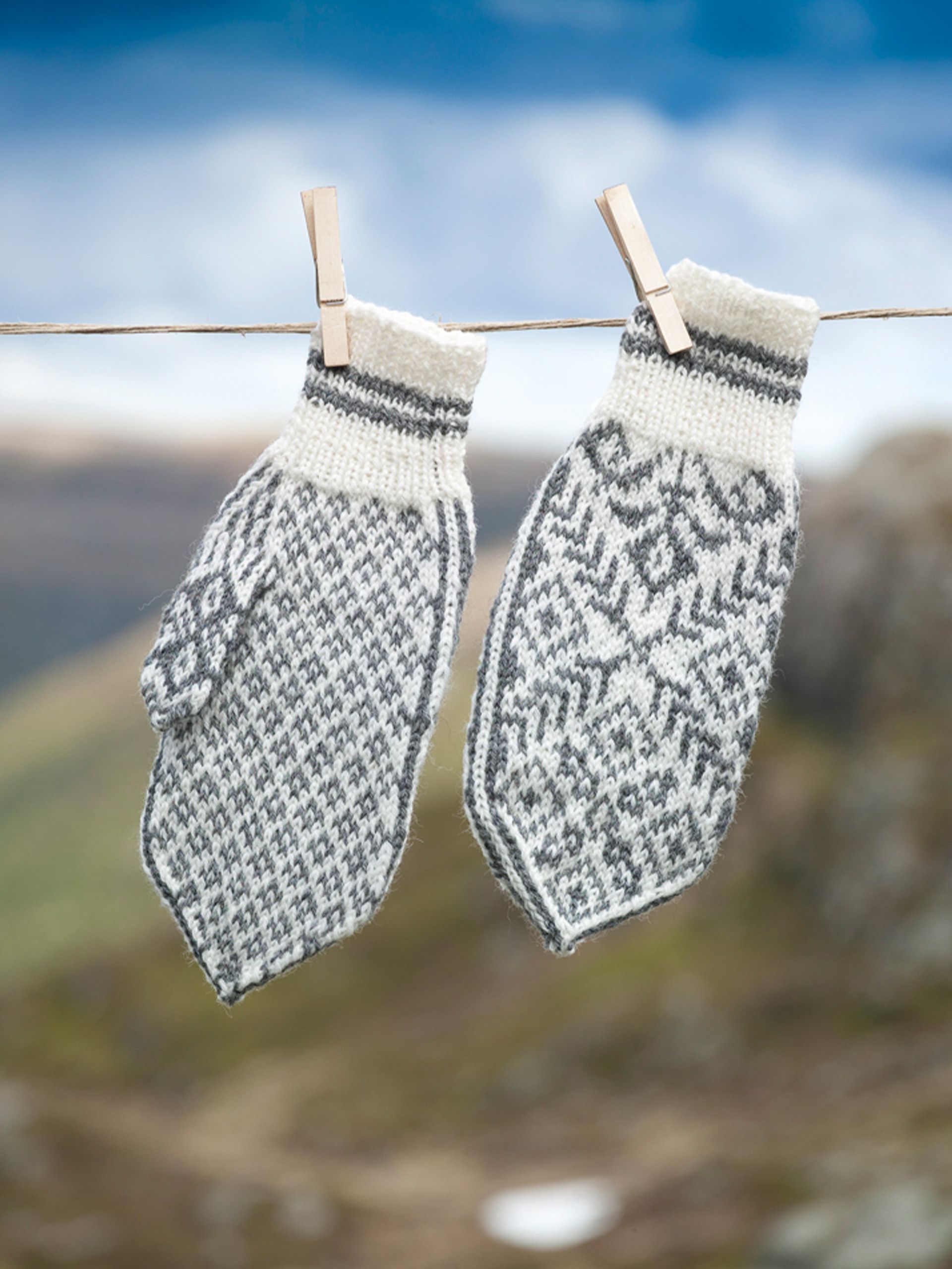 219-17 Reindal votter - Garnius