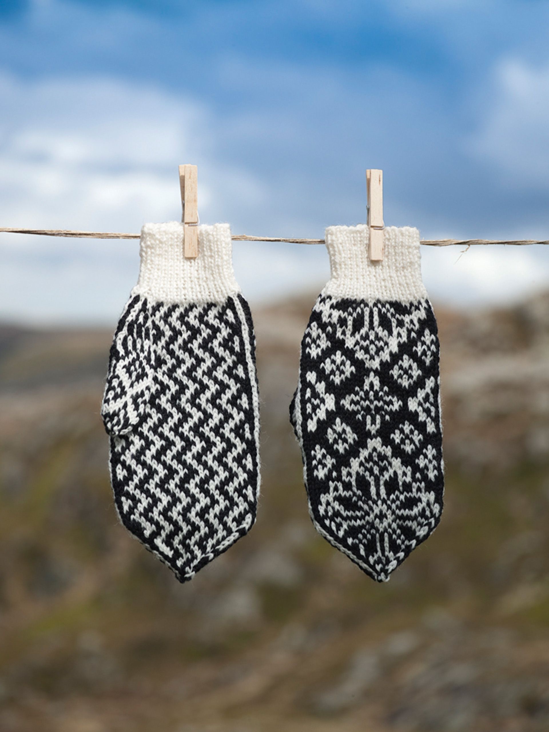 219-19 Matle votter - Garnius