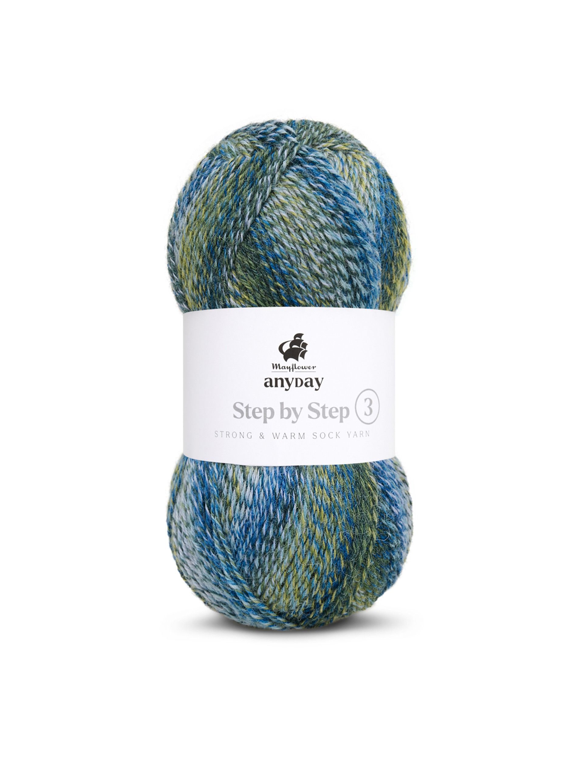 ANYDAY Step by Step 3 - Garnius