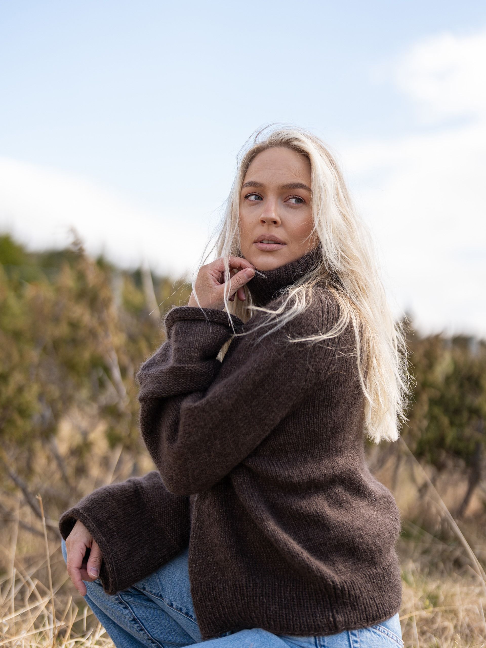 523V-02c Mjødurt brun - Garnius